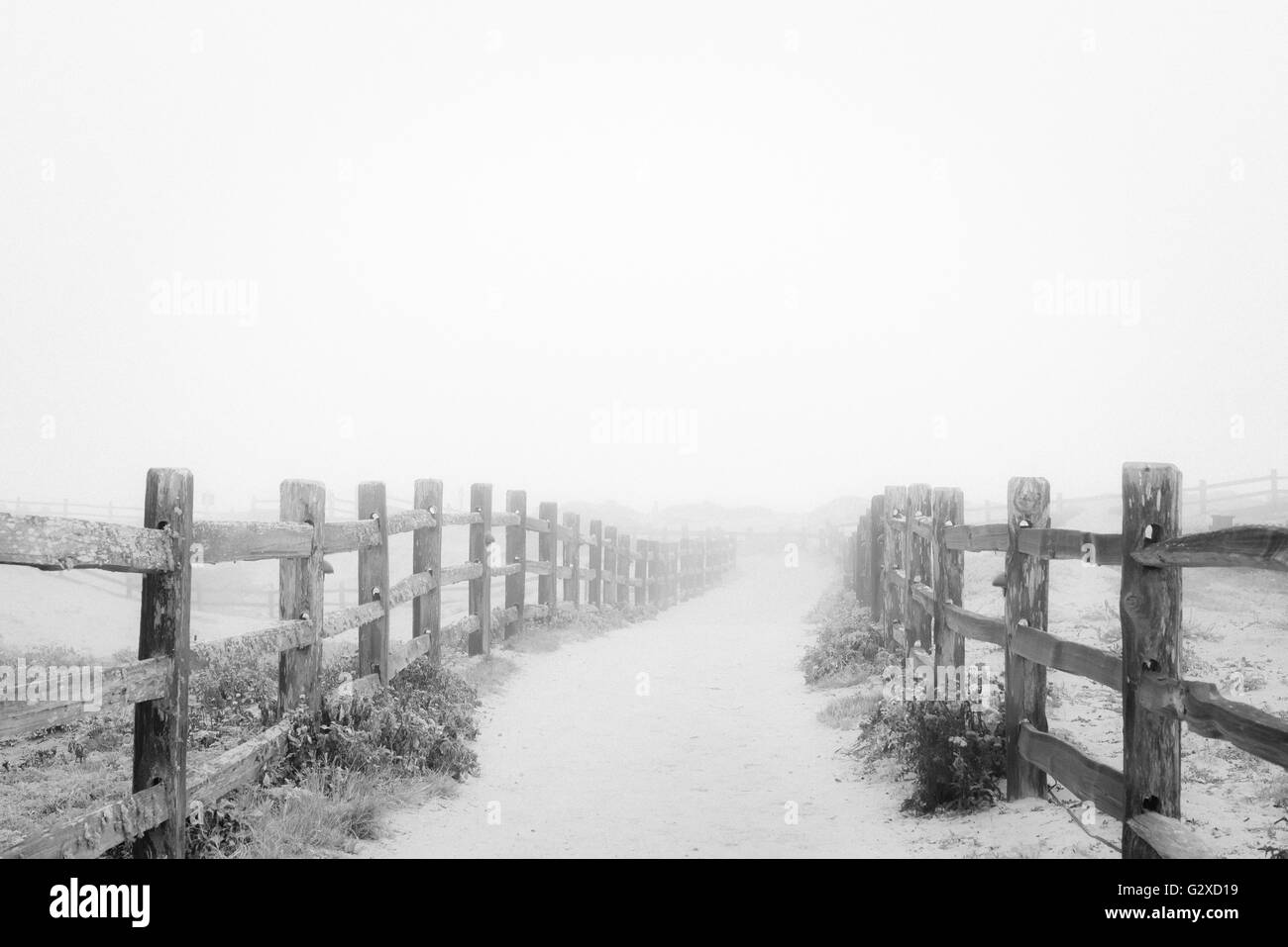 Into the fog Stock Photo - Alamy