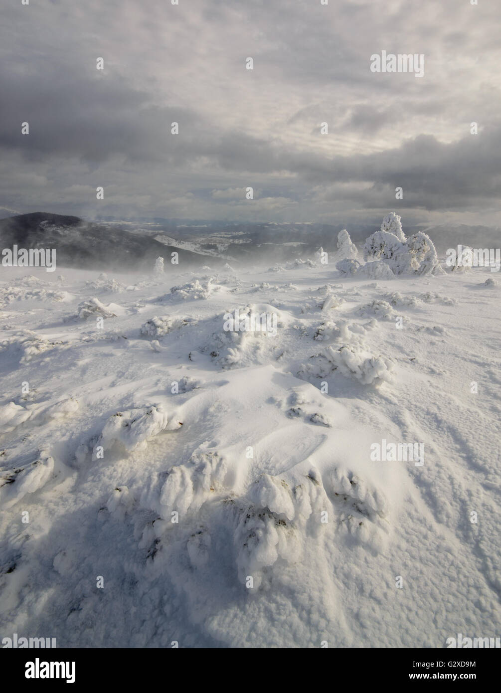 Fantastic winter landscape. Carpathian, Ukraine. Beauty world Stock ...