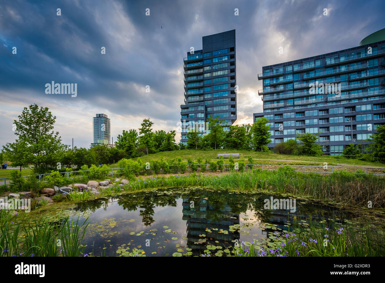 Pond and modern buildings at Corktown Common, in Toronto, Ontario Stock ...