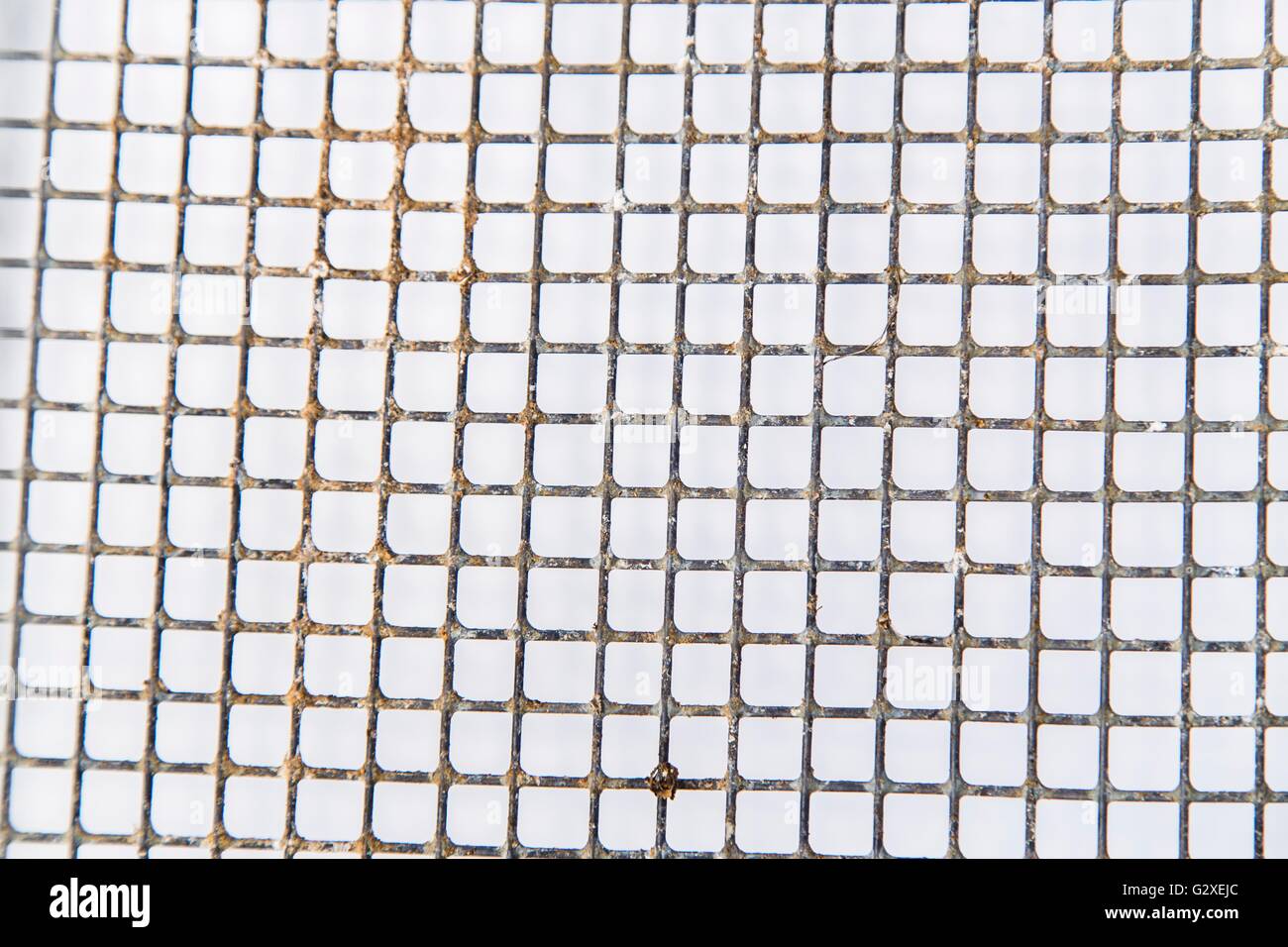 old and weathered metal net with rust Stock Photo - Alamy