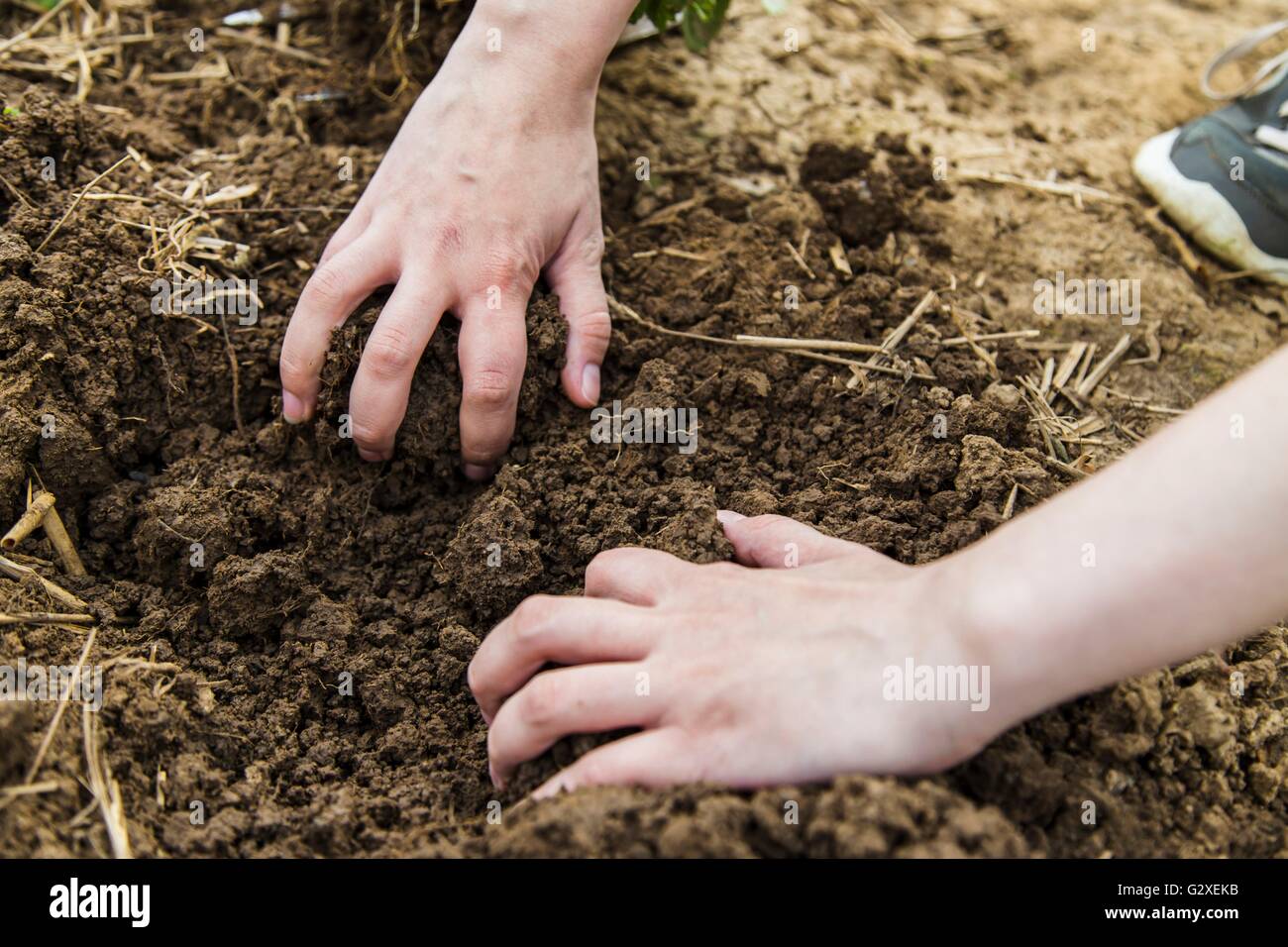 Tool garden ground soil hi-res stock photography and images - Alamy
