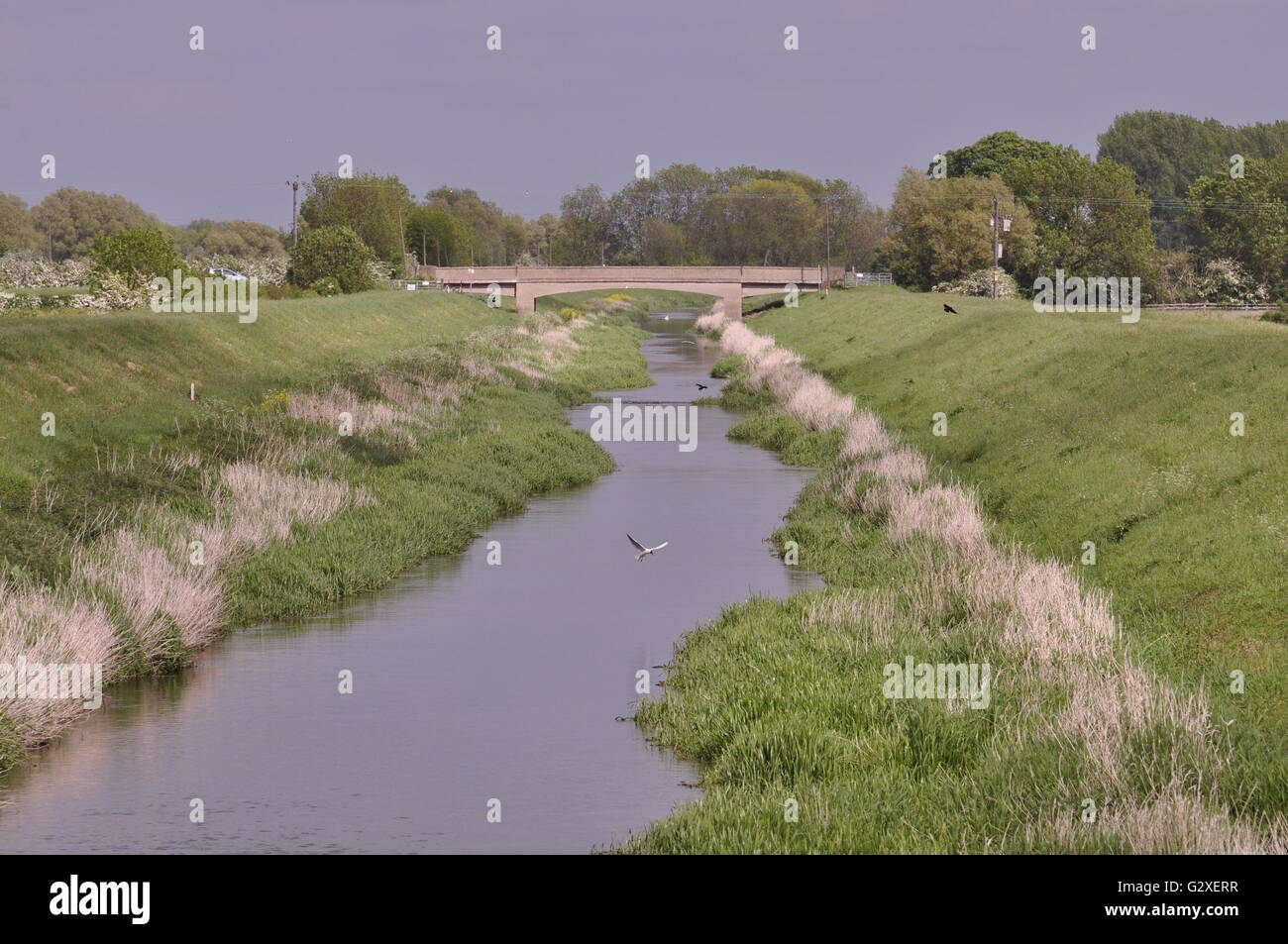 Maxey hi-res stock photography and images - Alamy