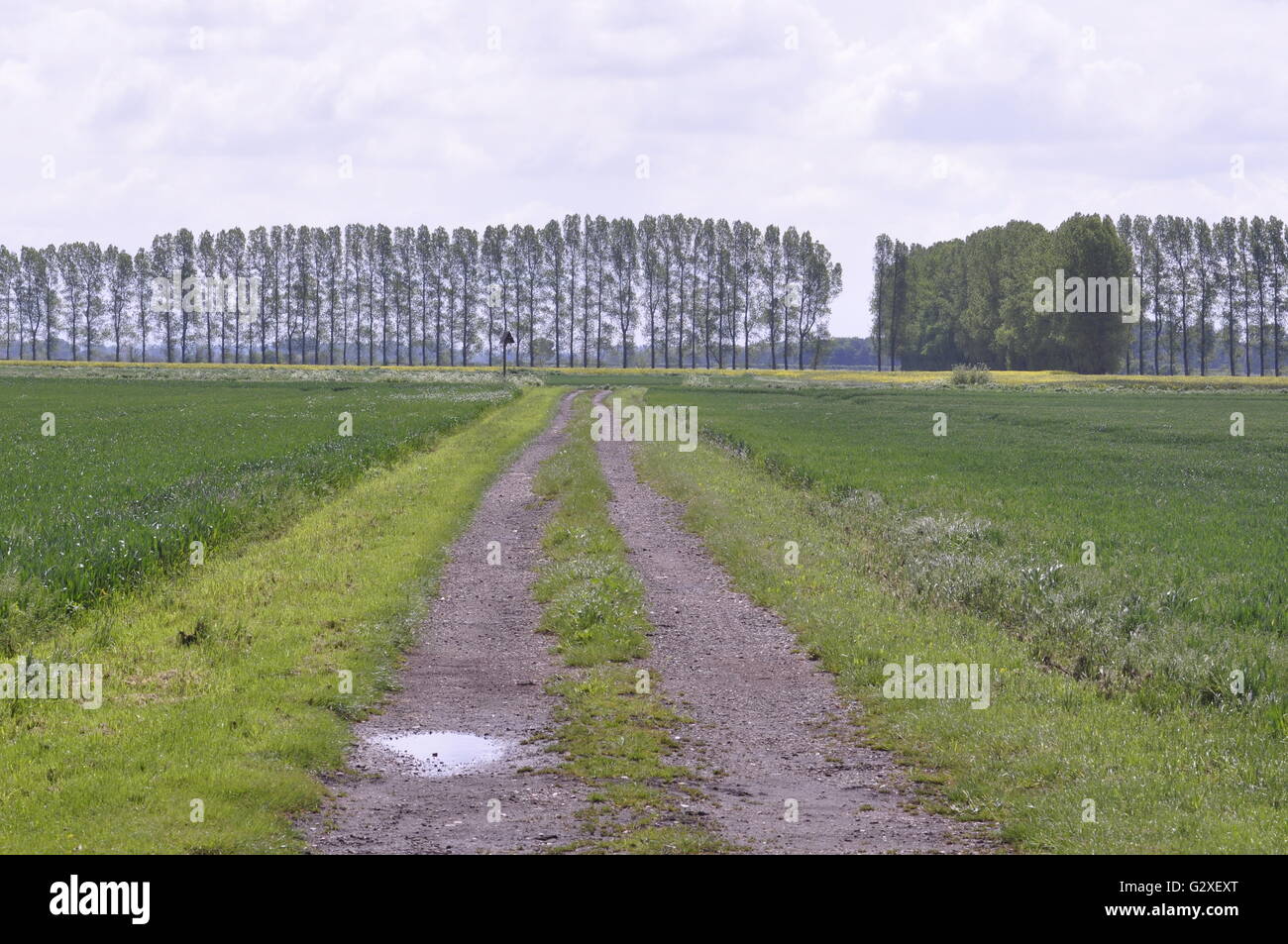 Feltwell norfolk hi-res stock photography and images - Alamy