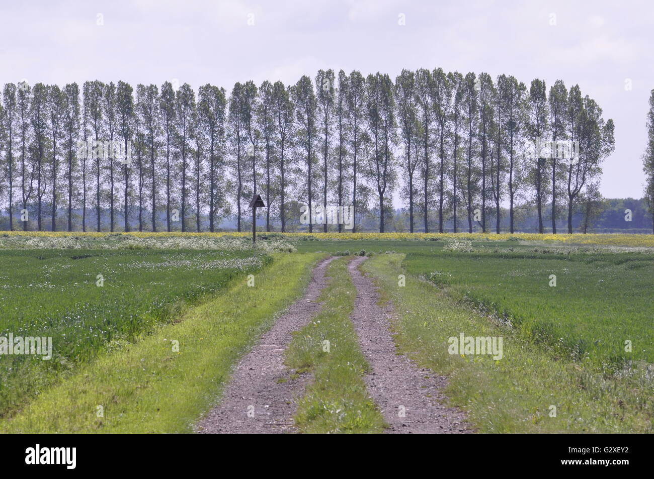 Fenland farm farming hi-res stock photography and images - Alamy