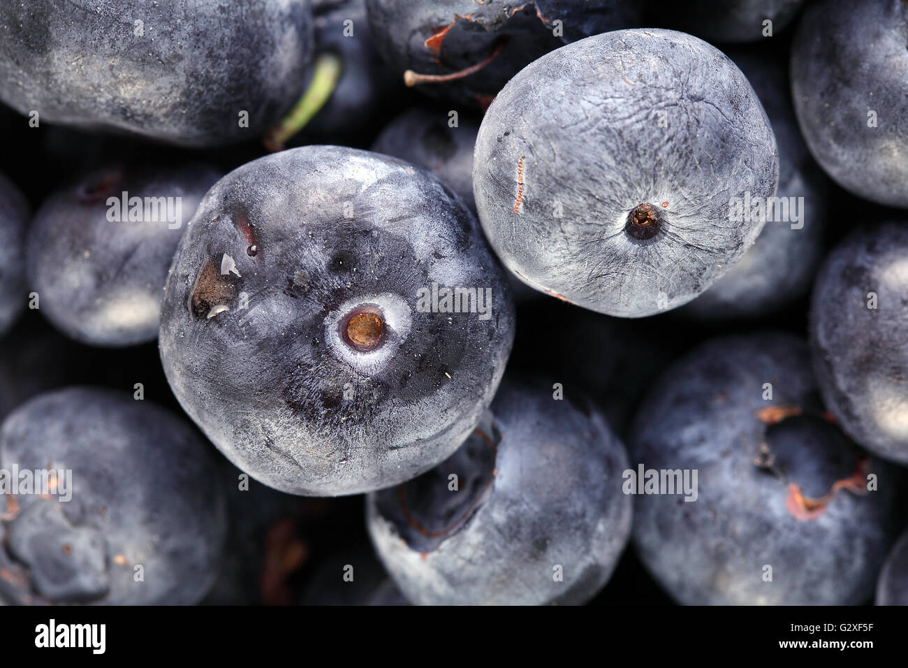 Fruit blemish hi-res stock photography and images - Alamy
