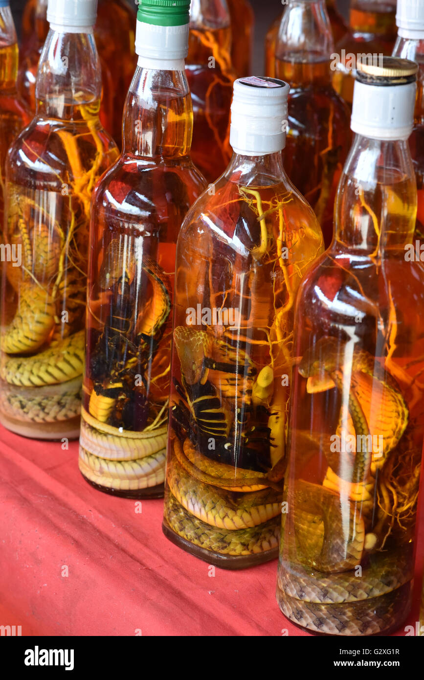 Snake Drinks Stock Photos & Snake Drinks Stock Images - Alamy