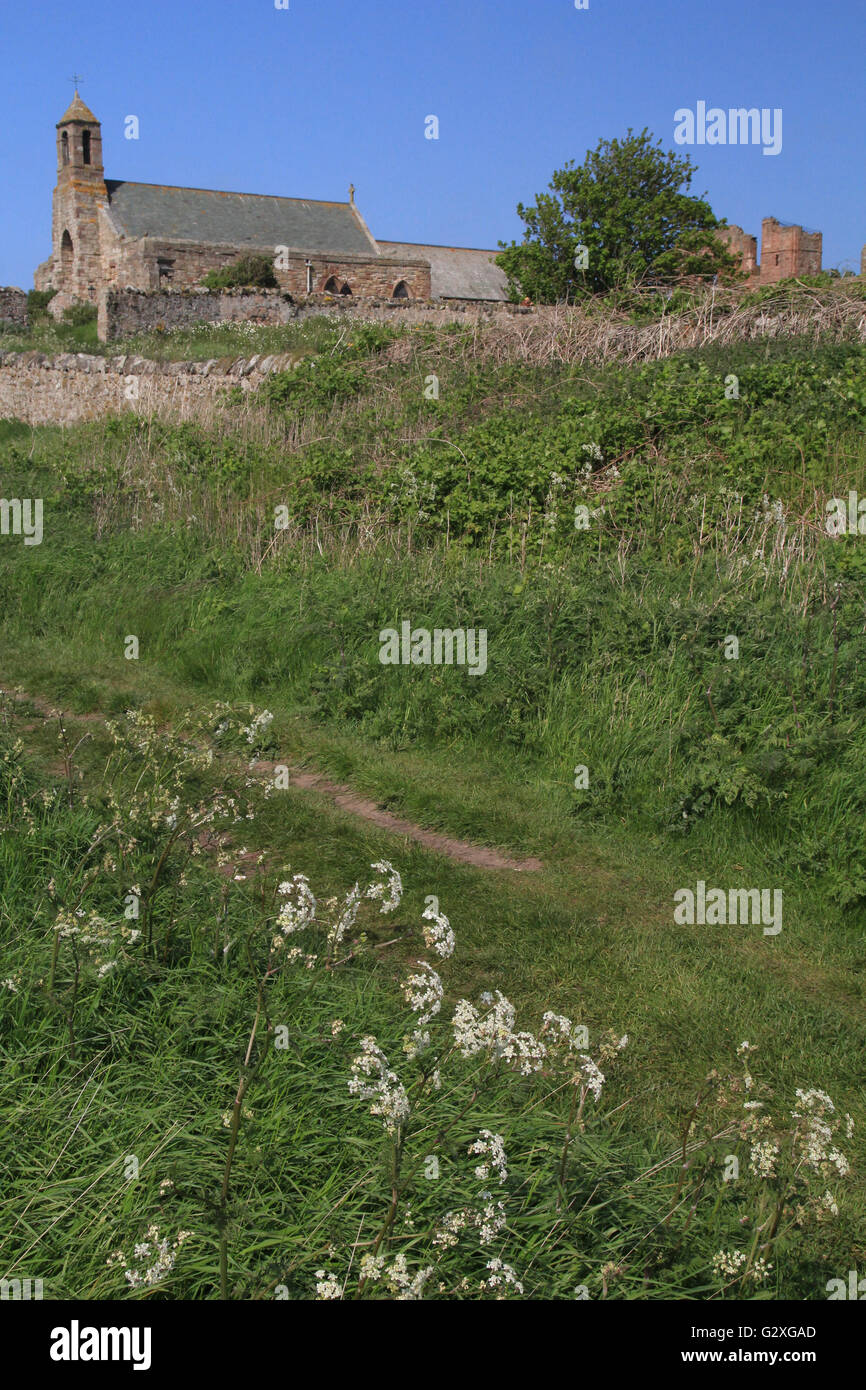 St marys church holy island hi-res stock photography and images - Alamy