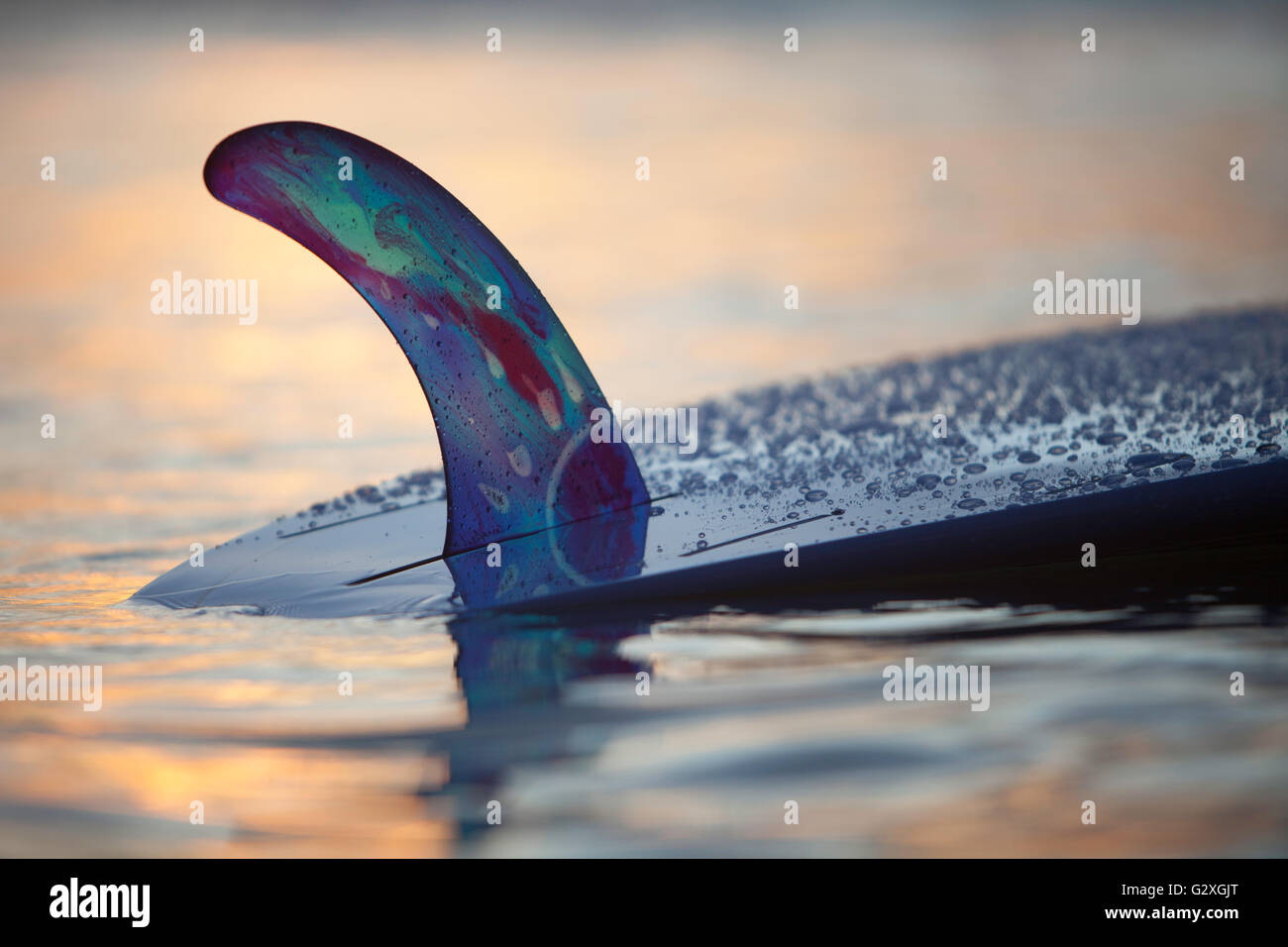Fin and skeg hi-res stock photography and images - Alamy