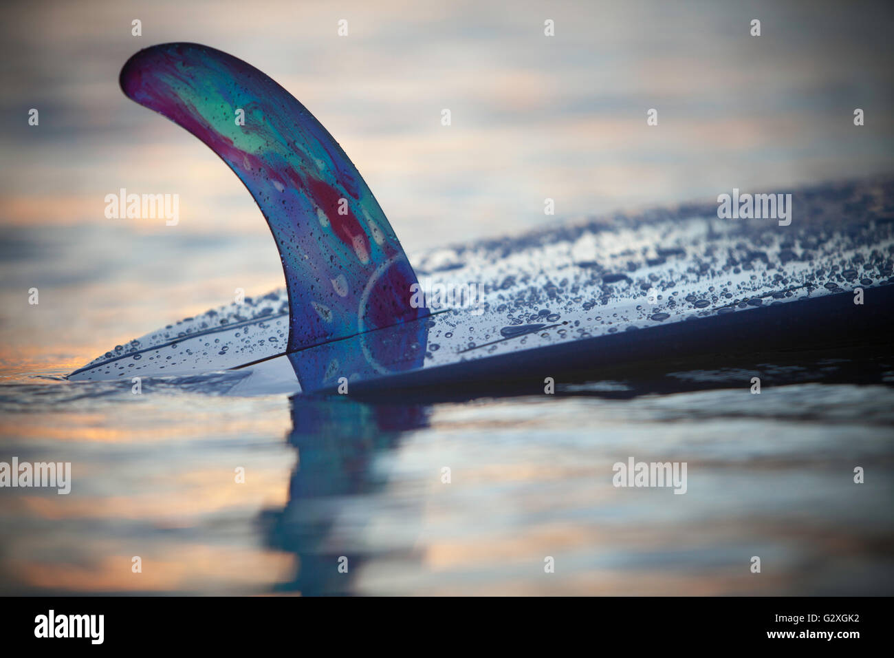 Closeup of Rainbow Fin Company single fin(skeg) on custom Kanaiupuni ...