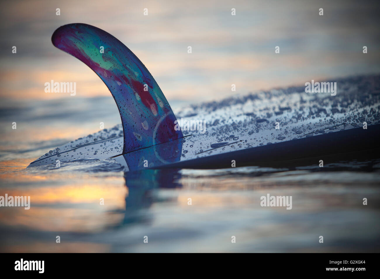 Closeup of Rainbow Fin Company single fin(skeg) on custom Kanaiupuni ...