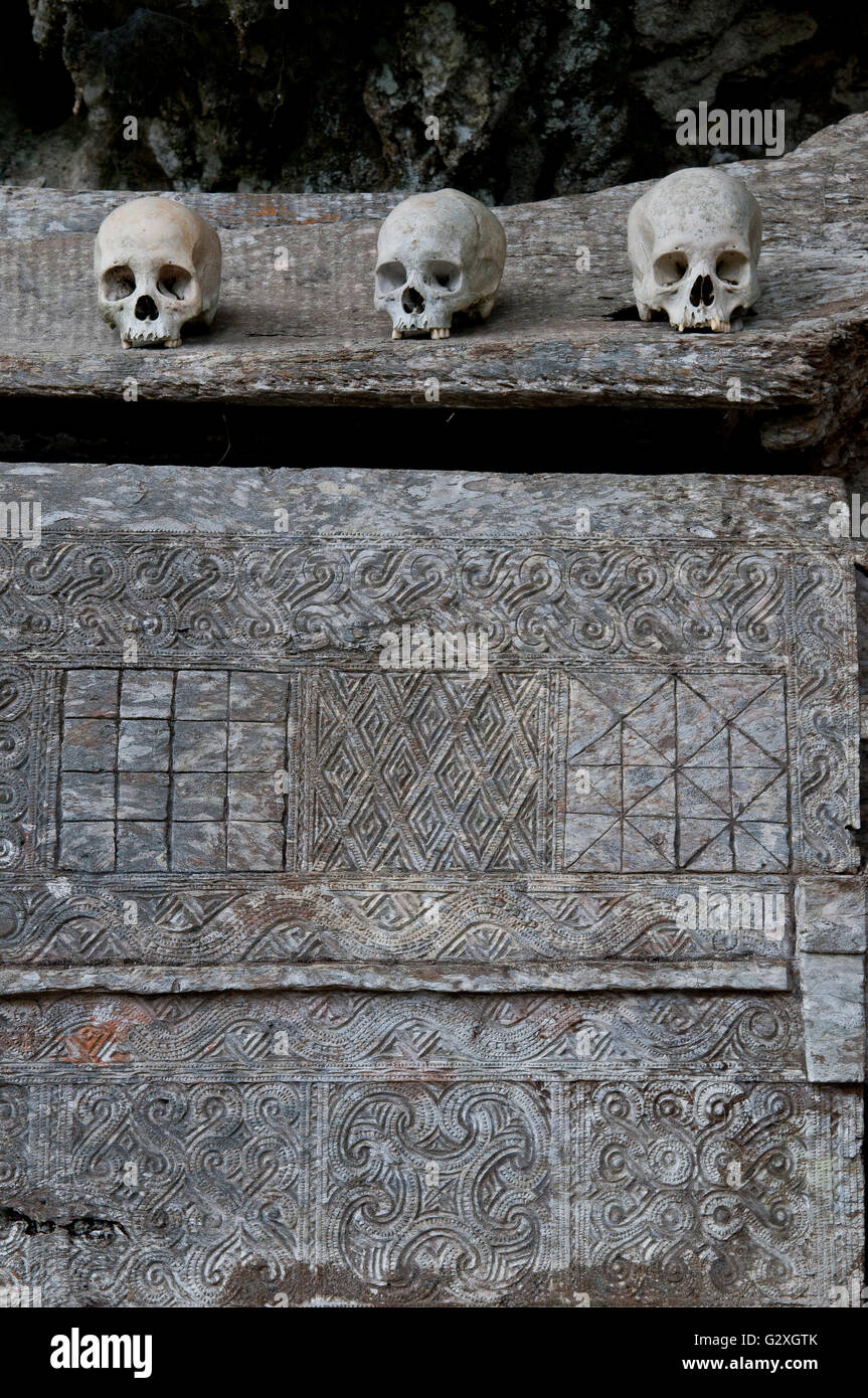 Three human skulls hi-res stock photography and images - Alamy