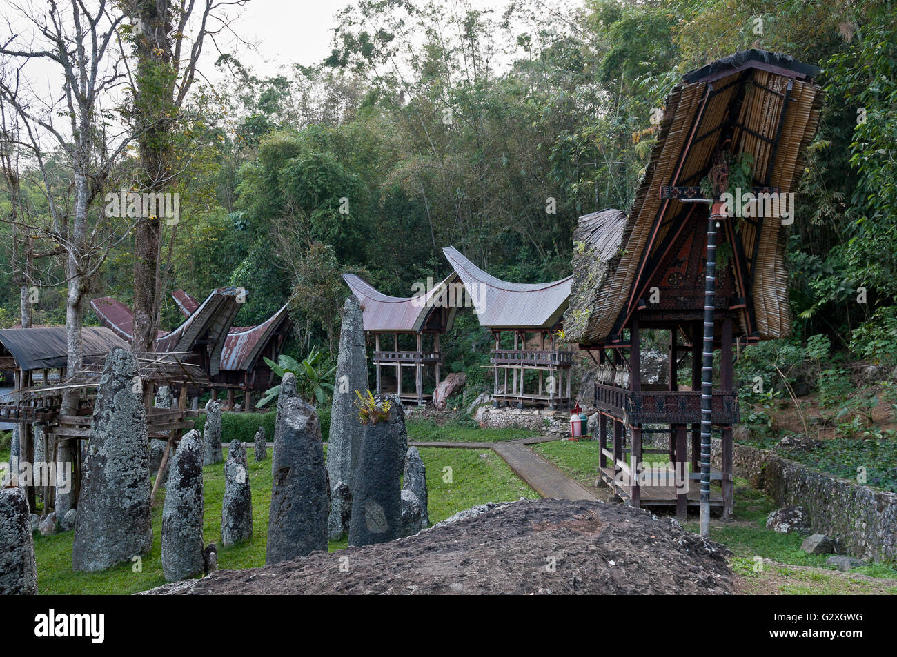 Sulawesi, Toraja Graves, Tombs looking like traditional local houses ...