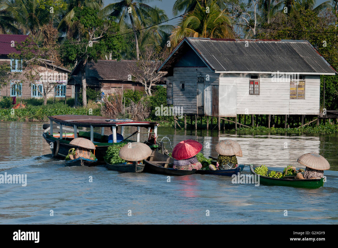 River barito hi-res stock photography and images - Alamy
