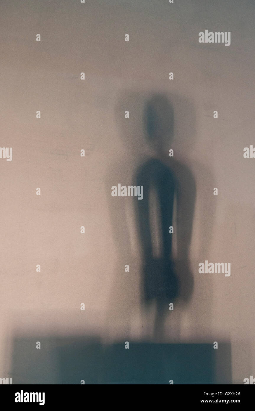 Jakarta, National Museum, Shadow Of A Statue Stock Photo - Alamy