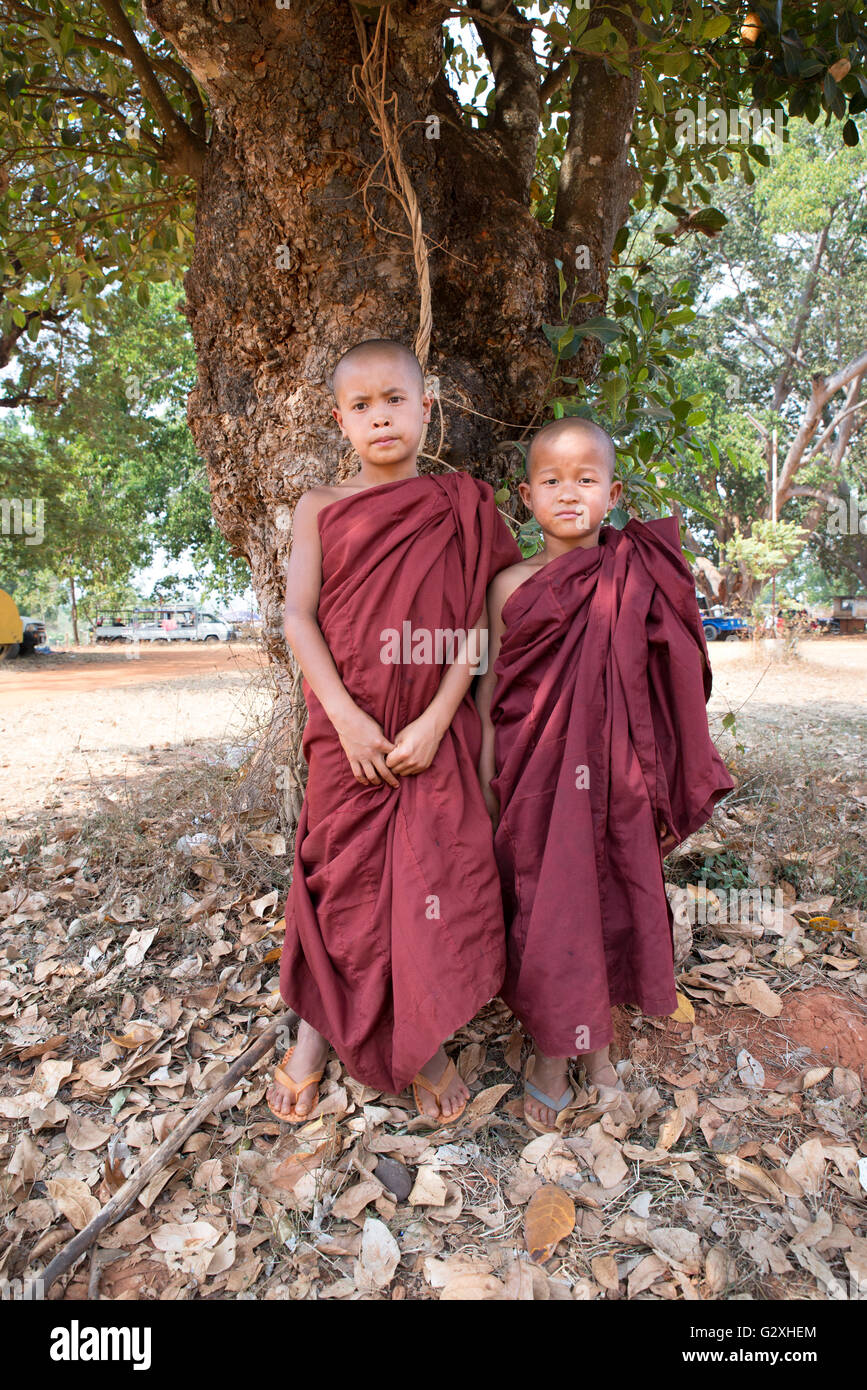 Two novice monks under a tree, Kakku Pagoda complex, Shan State ...