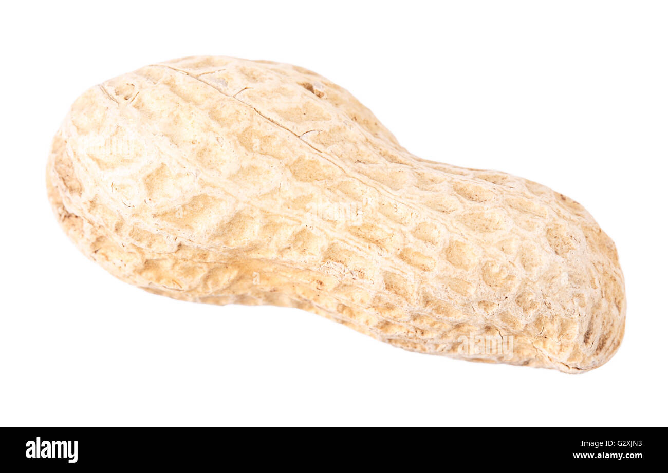 peanuts peanut isolated white background food Stock Photo - Alamy