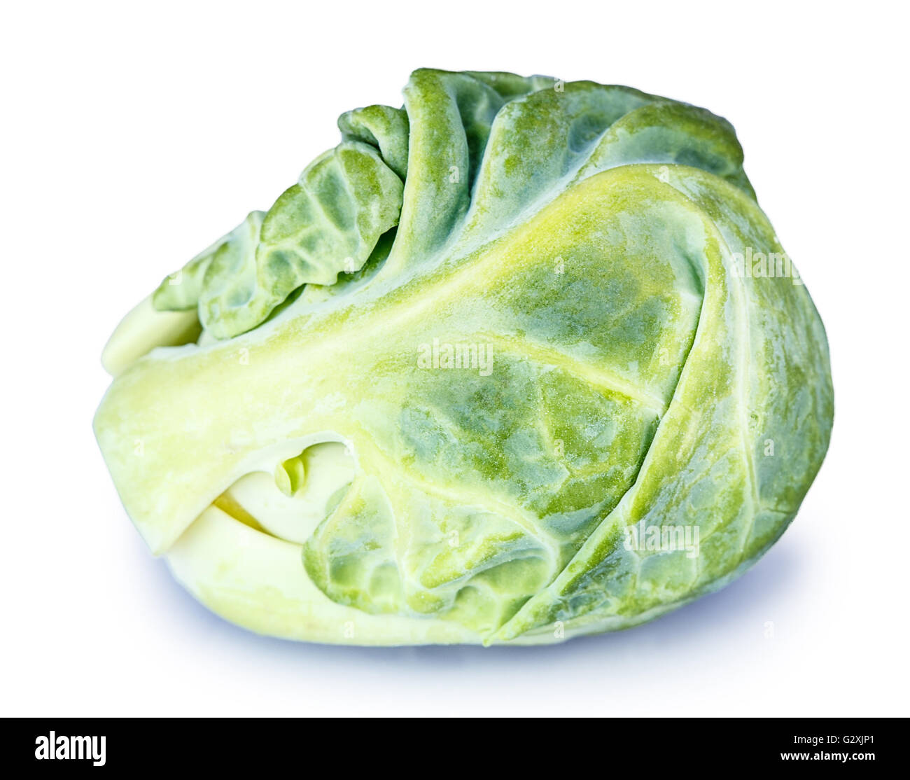cabbage Isolated on white background Stock Photo - Alamy