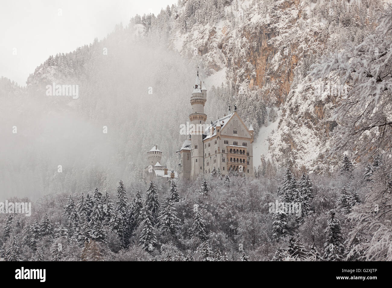 Neuschwanstein Castle in winter landscape Stock Photo - Alamy
