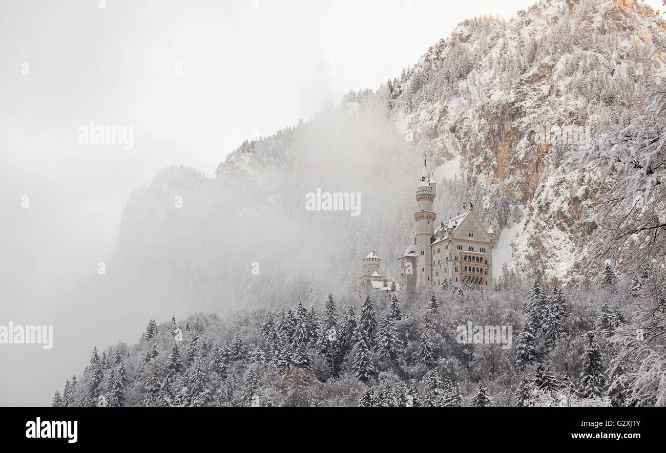 Neuschwanstein Castle in winter landscape Stock Photo - Alamy