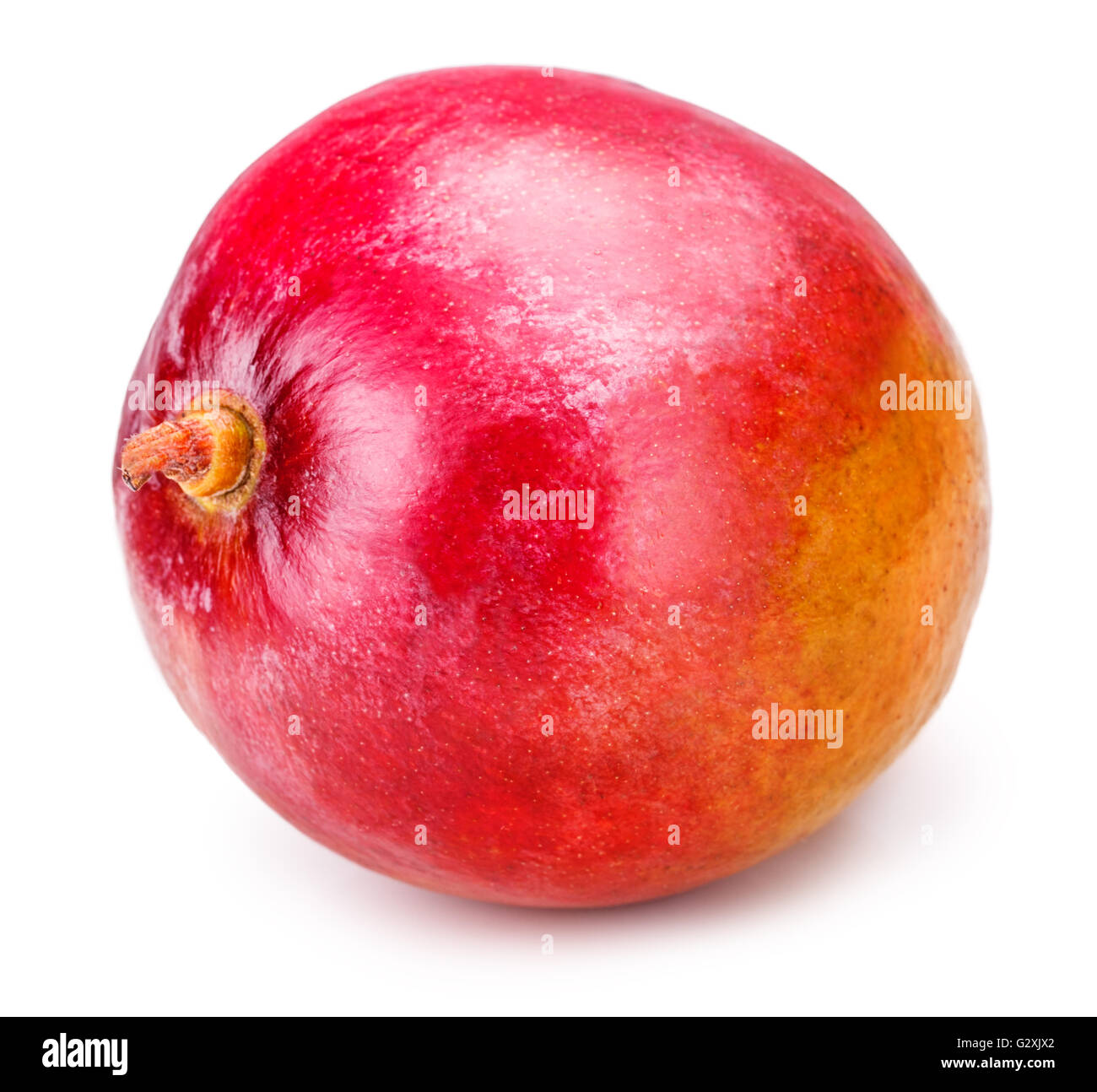 Single mango fruit isolated hi-res stock photography and images - Alamy