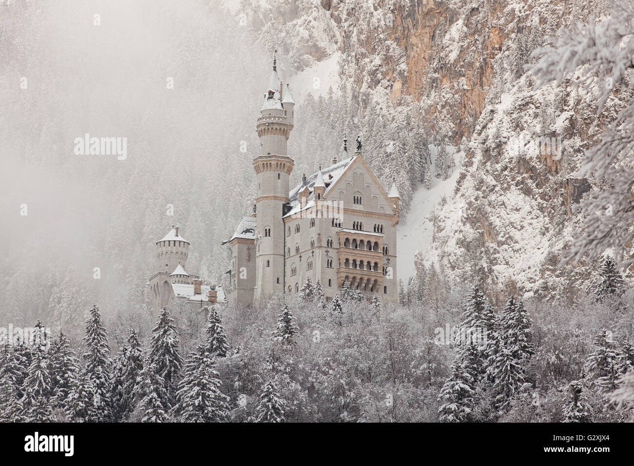 Neuschwanstein Castle in winter landscape Stock Photo - Alamy
