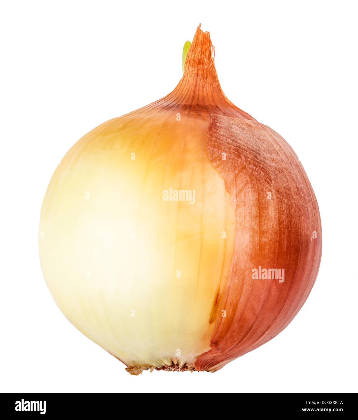 onion isolated on white background clipping path Stock Photo - Alamy