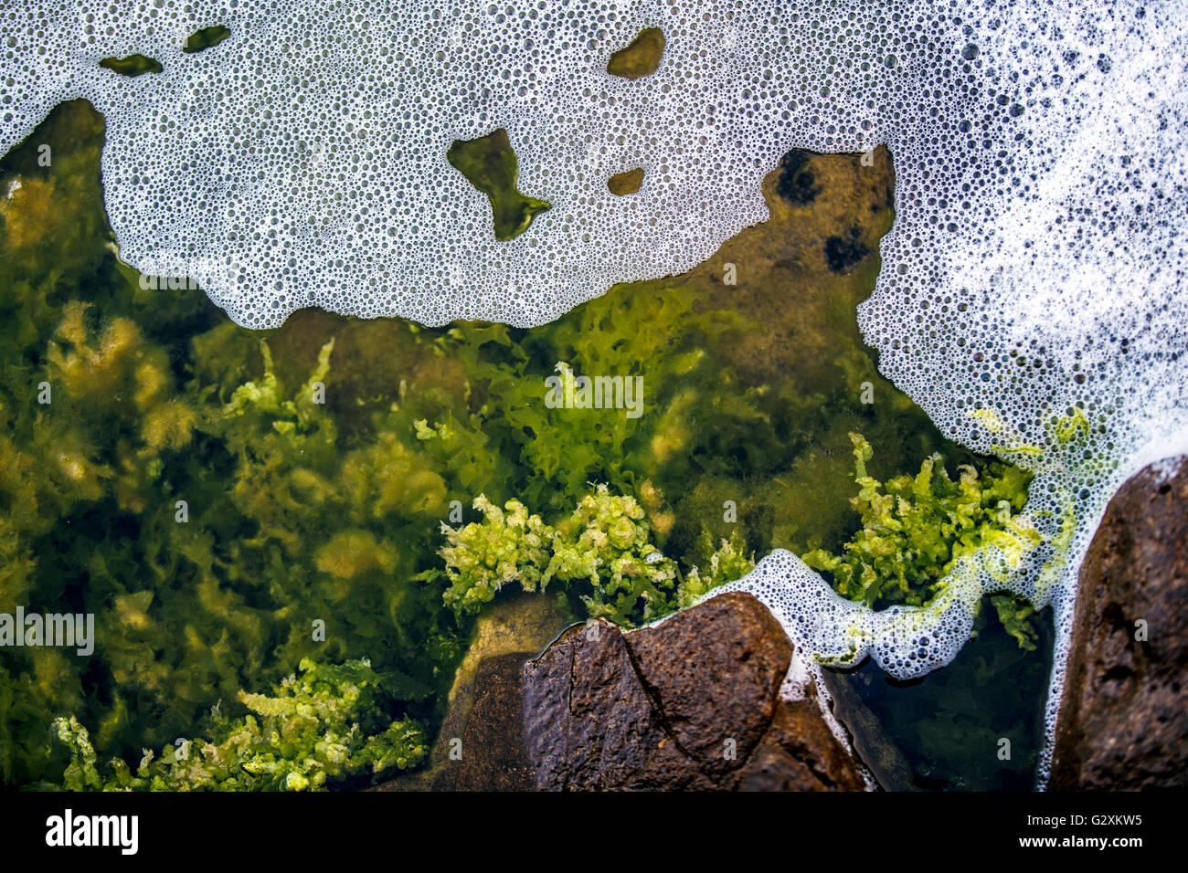Sea wave foam texture background Stock Photo - Alamy