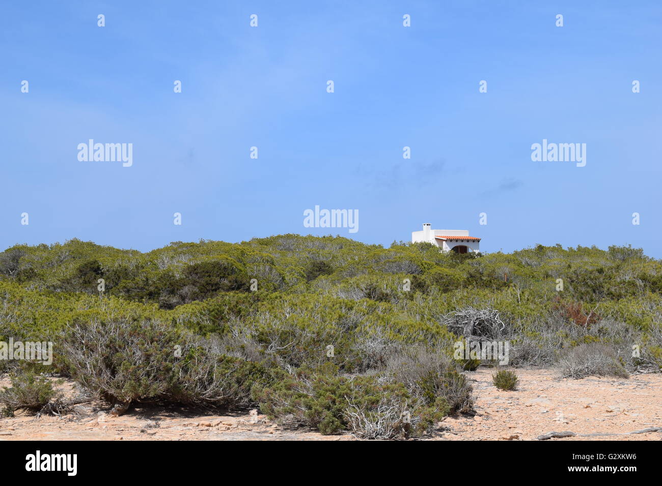 House in the sand dunes Stock Photo - Alamy