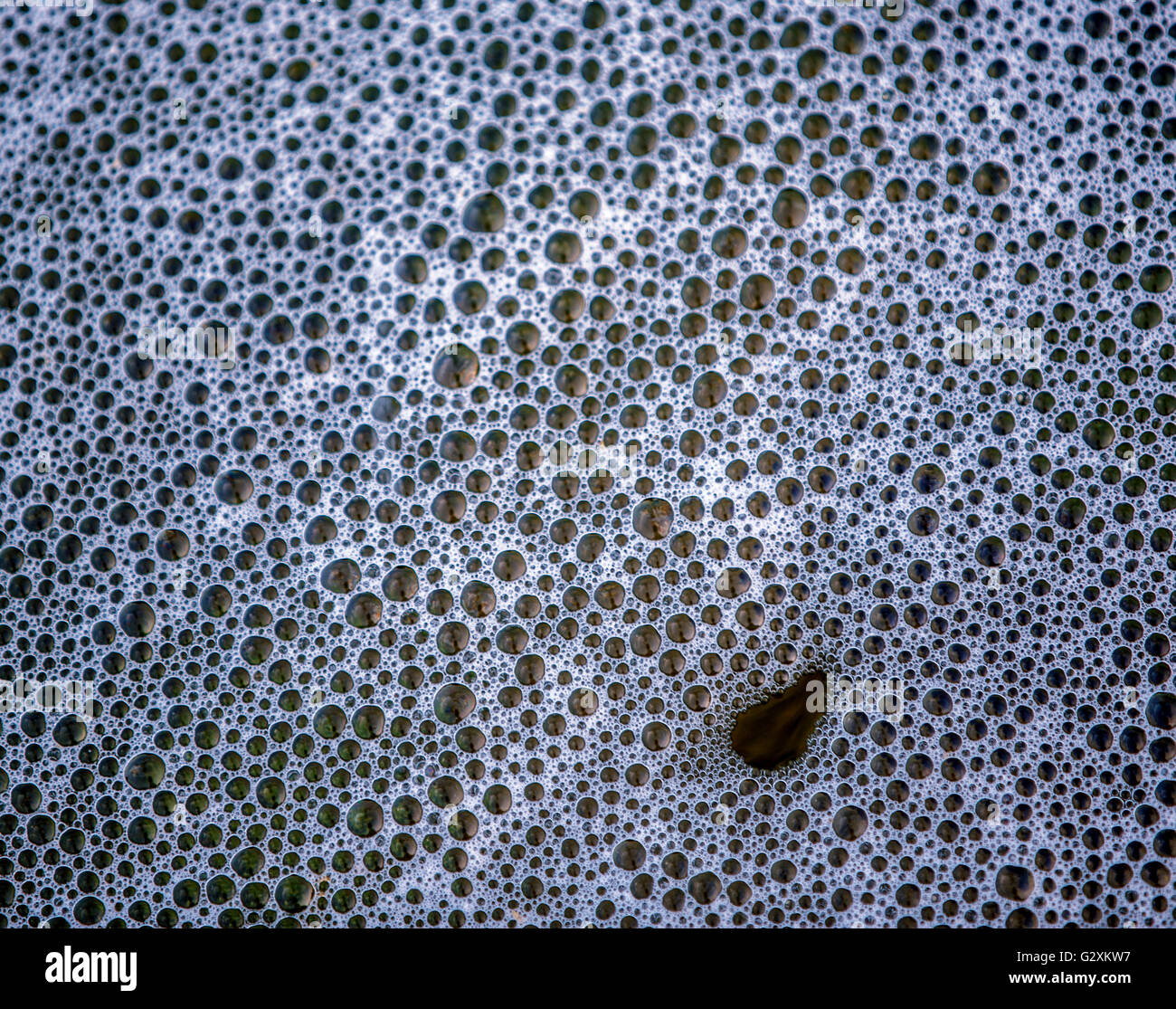 wave sea texture close up background Stock Photo - Alamy