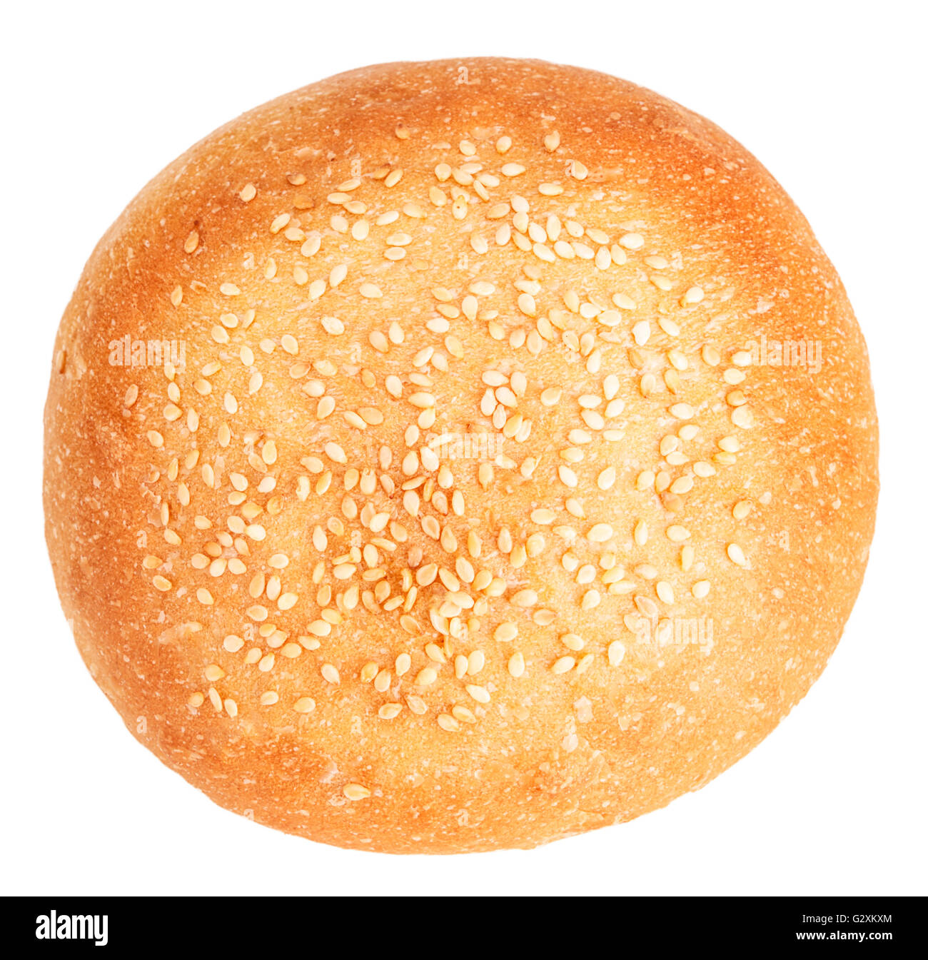Hamburger Bun Top View