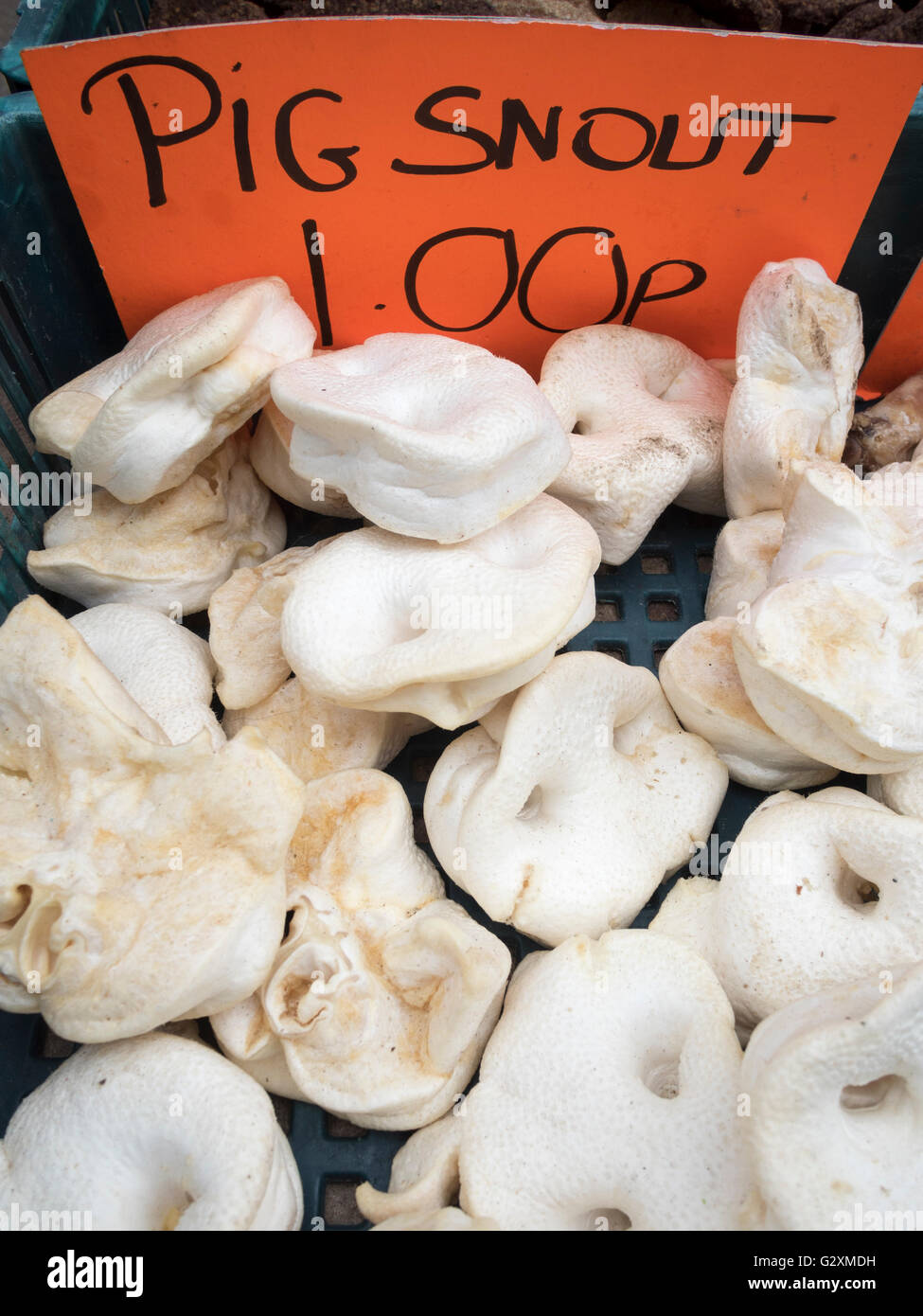 A collection of pigs' snouts for sale at a pet-food stall at a market ...