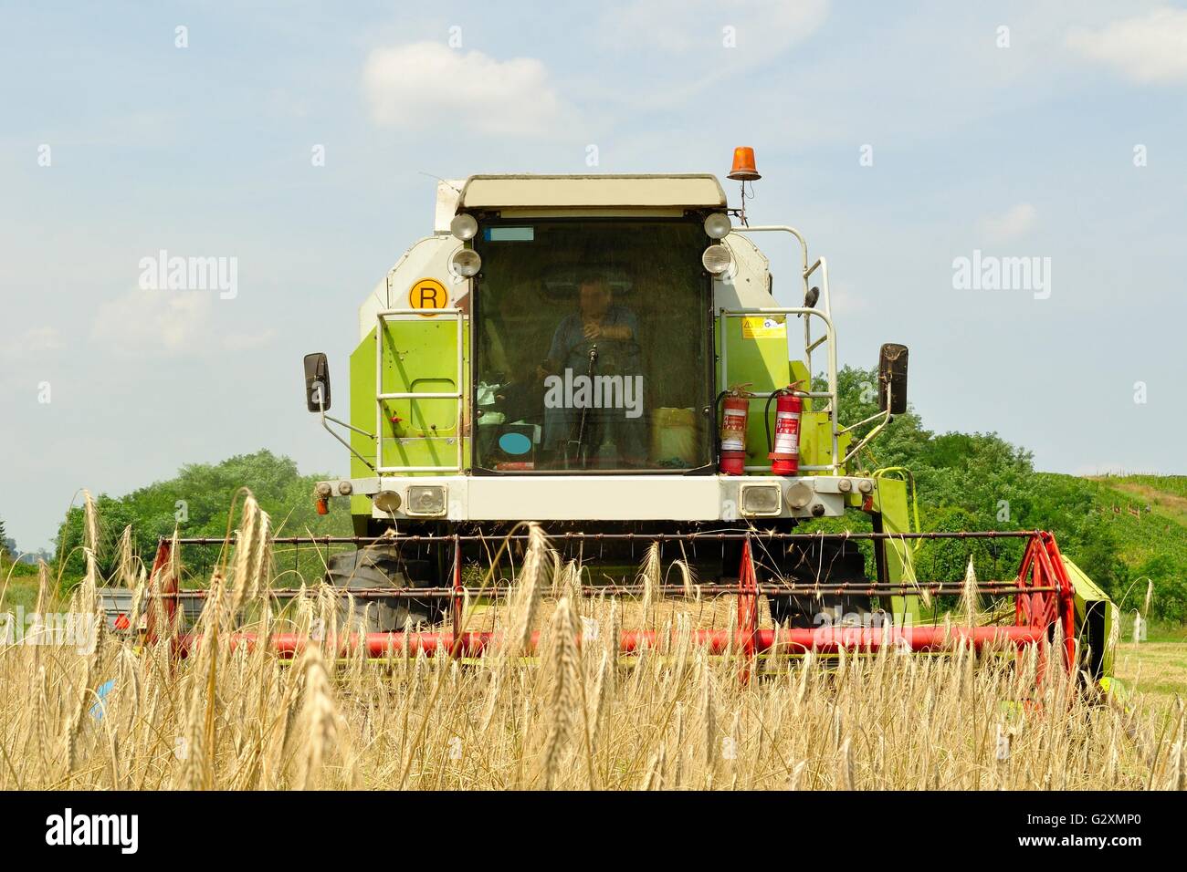 Front view of modern combine harvester in the wheat field during ...