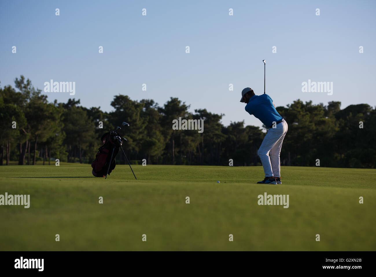 golfer hitting long shot with driver on course at beautiful sunset ...