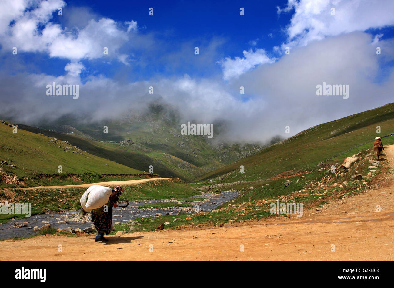 Daily life scene at Dilaver Yaylasi, hamlet on the alpine zone of the ...