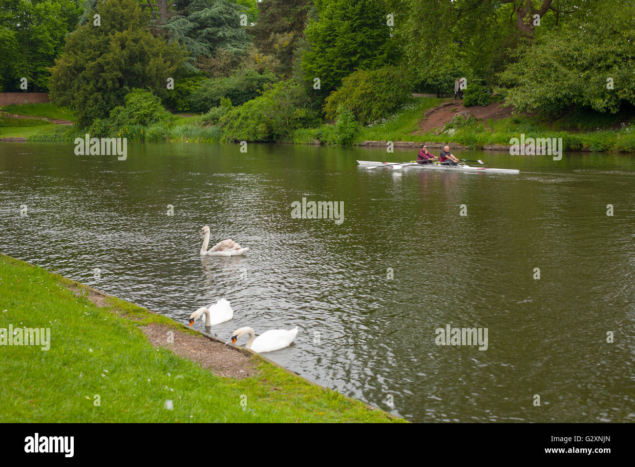 river avon stratford-upon-avon warwickshire england uk Stock Photo - Alamy