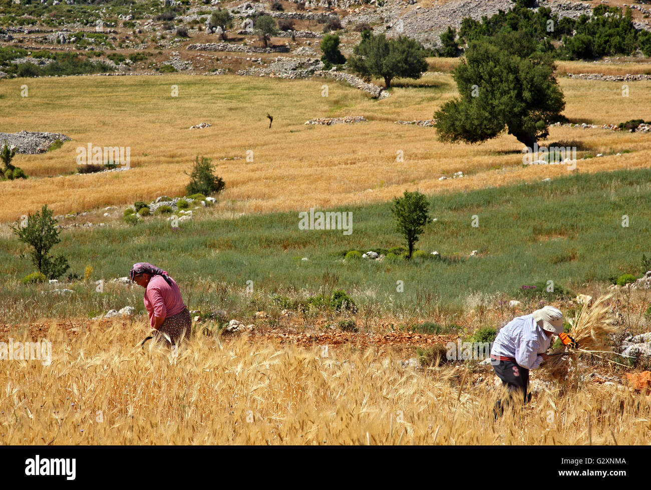 Rural daily life scene on the "Lycian Way", between Yediburun and Bel ...