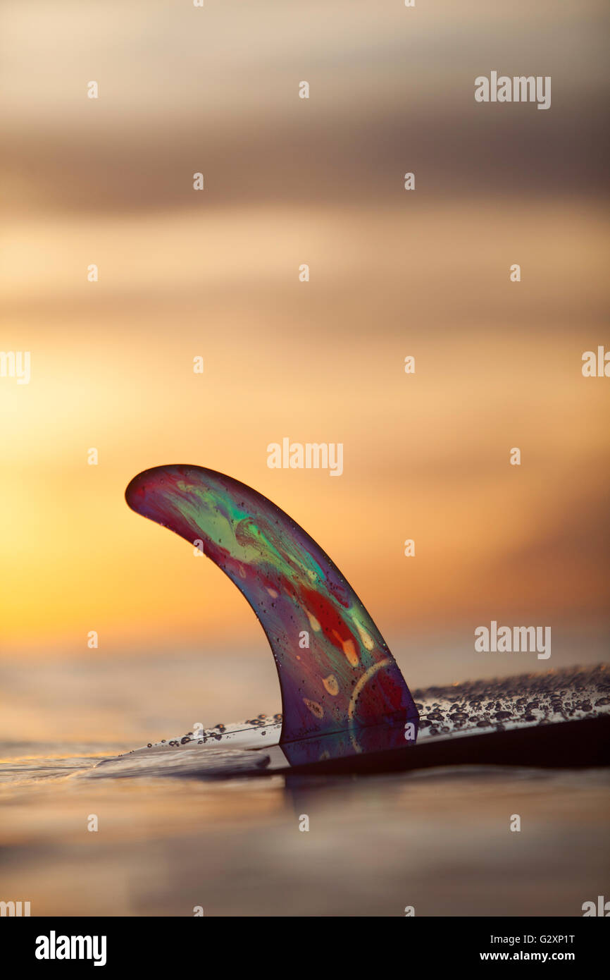 Fin and skeg hi-res stock photography and images - Alamy