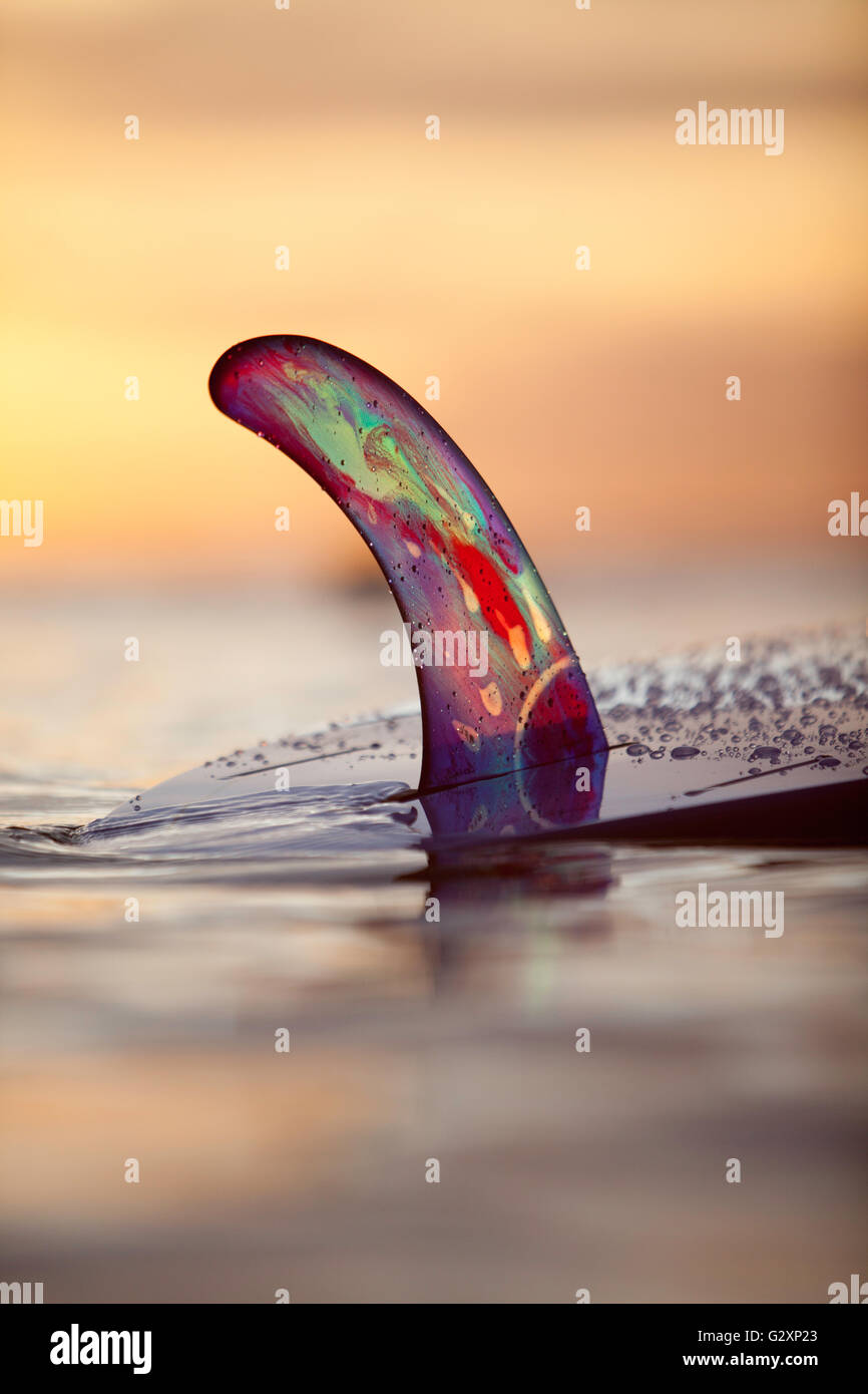 Closeup of Rainbow Fin Company single fin(skeg) on custom Kanaiupuni ...