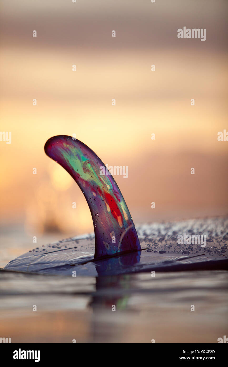 Fin and skeg hi-res stock photography and images - Alamy