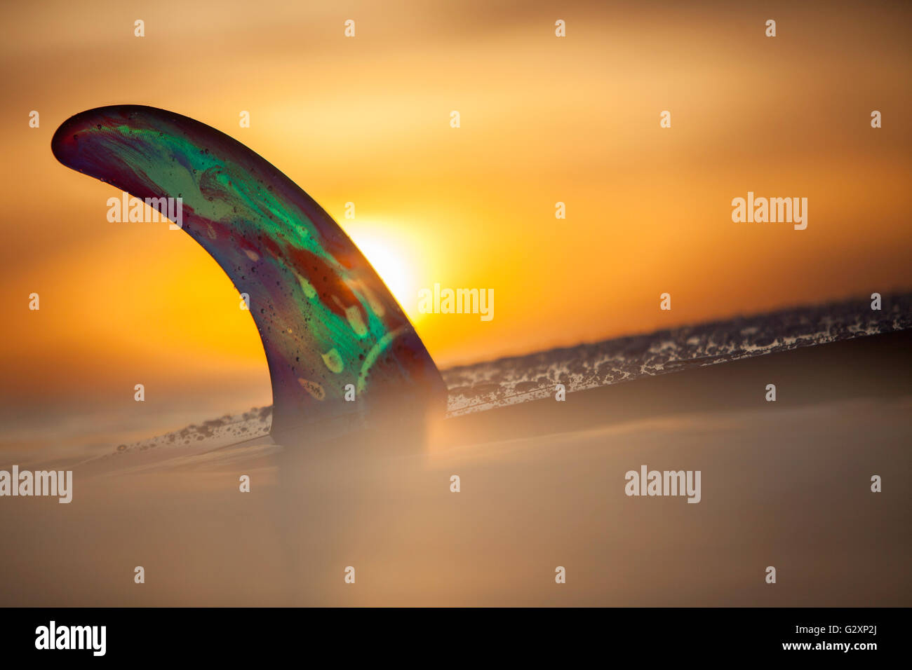 Closeup of Rainbow Fin Company single fin(skeg) on custom Kanaiupuni ...