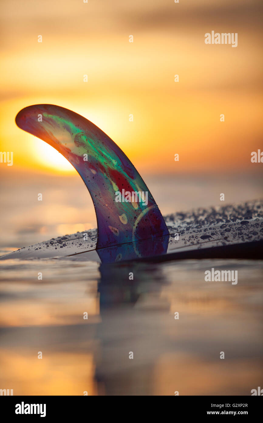 Closeup of Rainbow Fin Company single fin(skeg) on custom Kanaiupuni ...