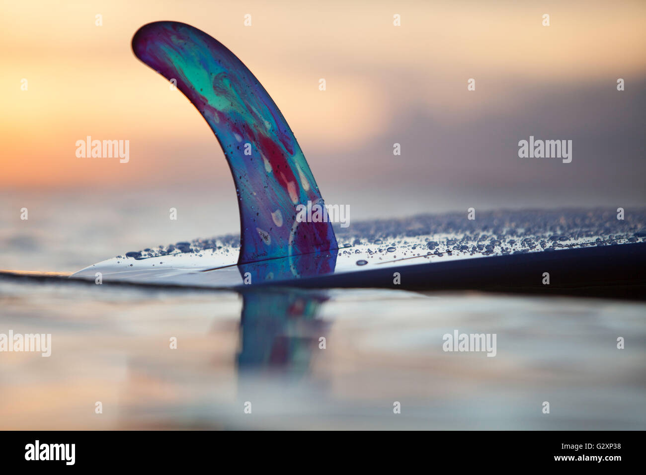 Fin and skeg hi-res stock photography and images - Alamy