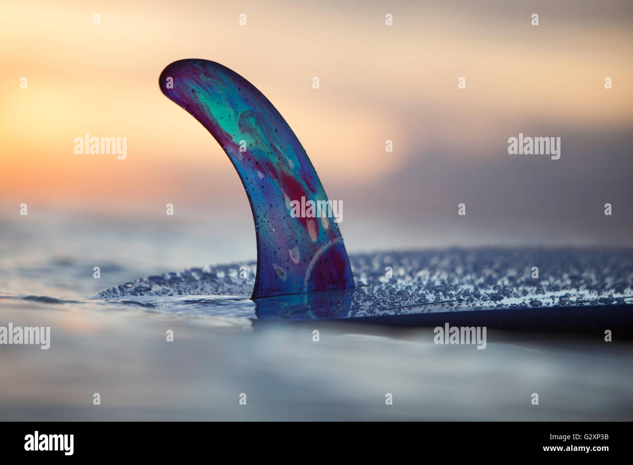 Fin and skeg hi-res stock photography and images - Alamy