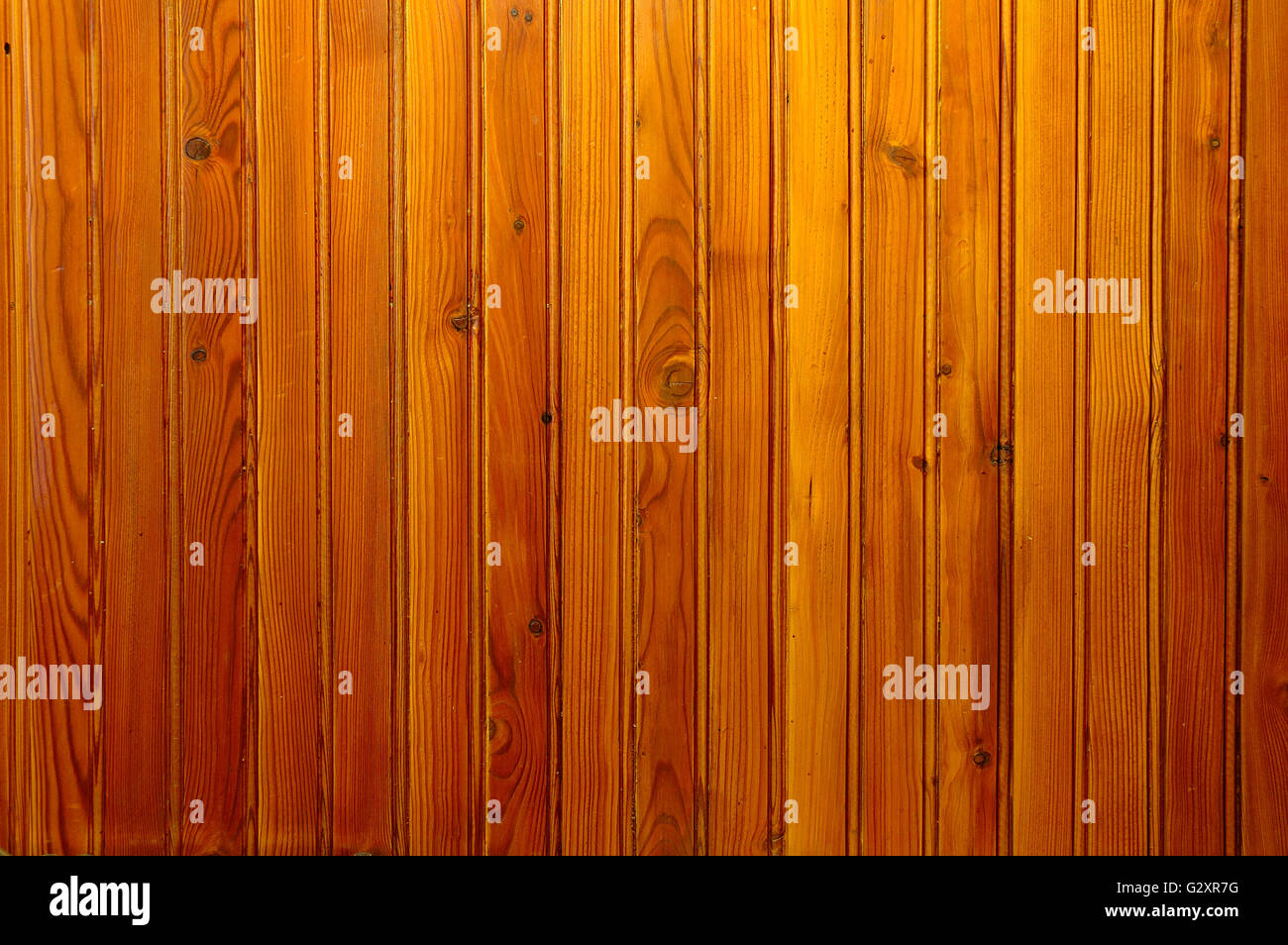Wainscot High Resolution Stock Photography and Images - Alamy