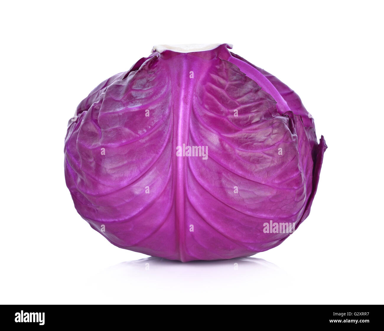 Purple cabbage on white background Stock Photo - Alamy