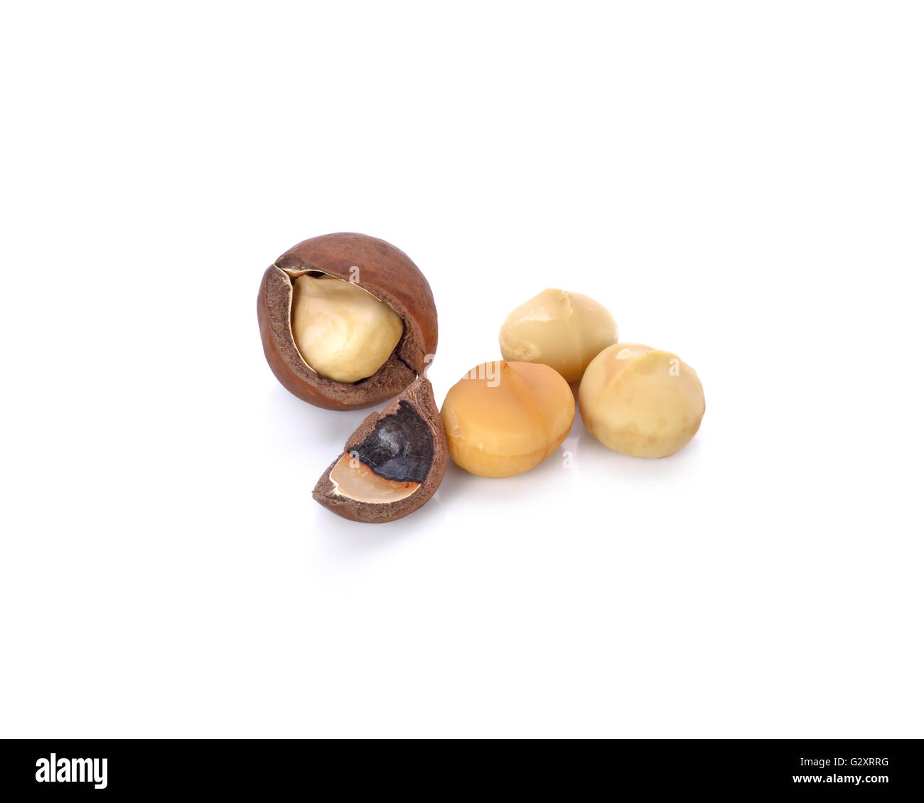 macadamia nuts on white background Stock Photo - Alamy