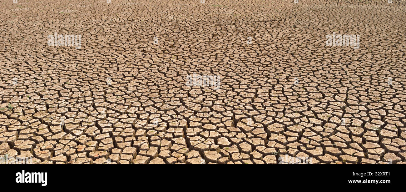 Cracked and barren ground Stock Photo - Alamy
