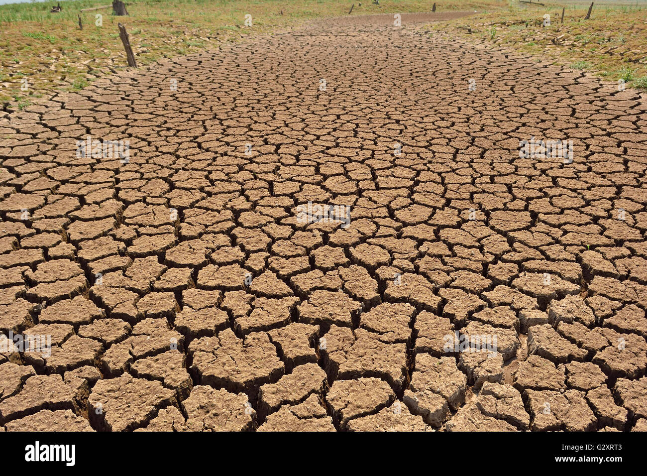 Drought desert hi-res stock photography and images - Alamy