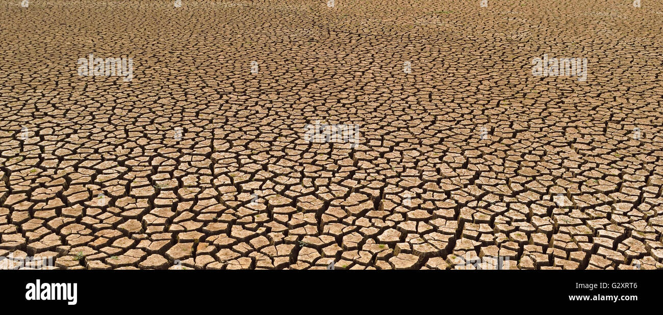 Cracked and barren ground Stock Photo - Alamy