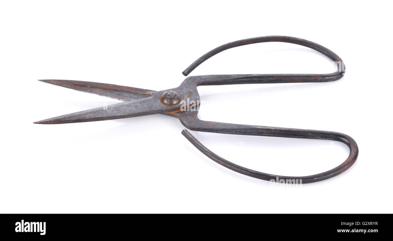 wide open old tailor shears isolated on white background Stock Photo ...